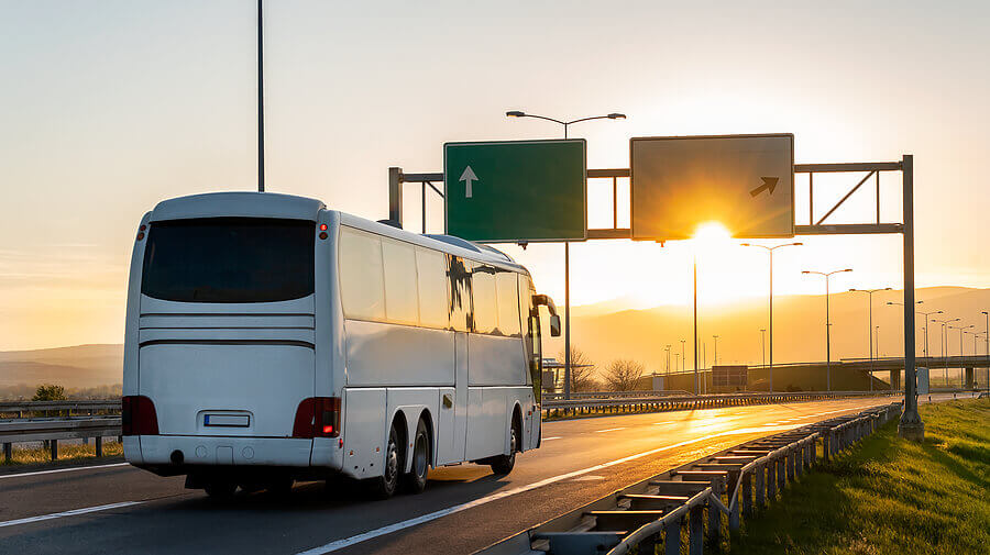 Sports Team Charter Bus & Minibus Rentals | Memphis Party Bus